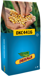 DKC4416 - Semence Maïs grain - Demi-précoce à demi-tardif - G3